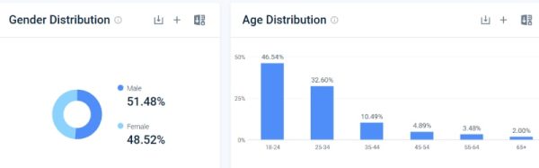 Case Study: Meesho’s Digital Marketing Strategies 2025