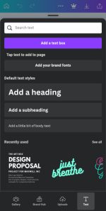 How to Add and Edit Text in Canva: Beginners Guide [2025]