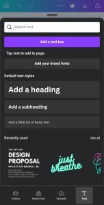 How to Add and Edit Text in Canva: Beginners Guide [2025]