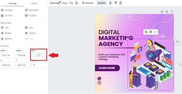 How to Resize and Crop Elements in Canva? [Updated 2025]